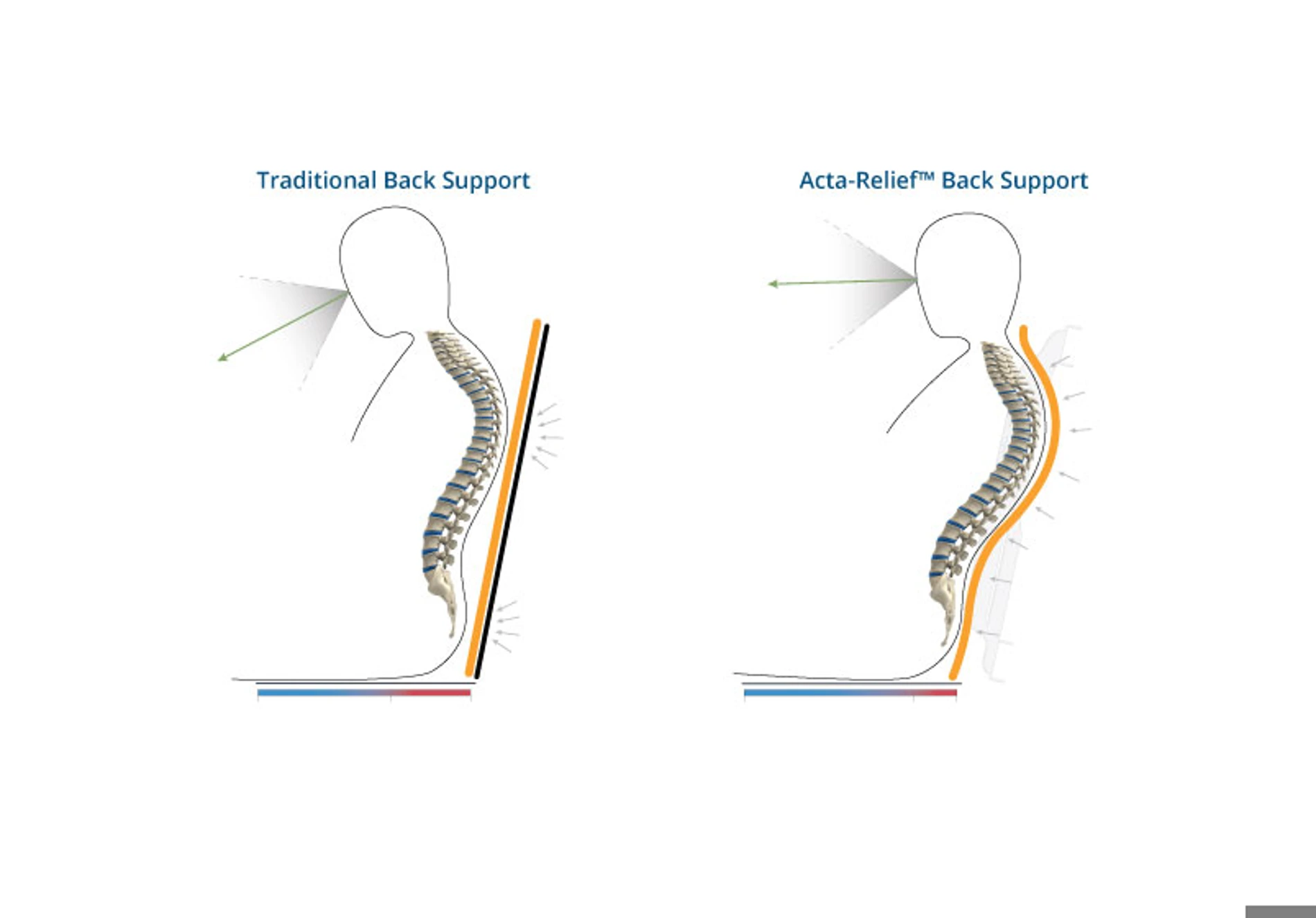 Comfort Acta-Relief™ Back Support
